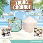 Wholesale Thai Coconut Exporter and Supplier | Fresh Point